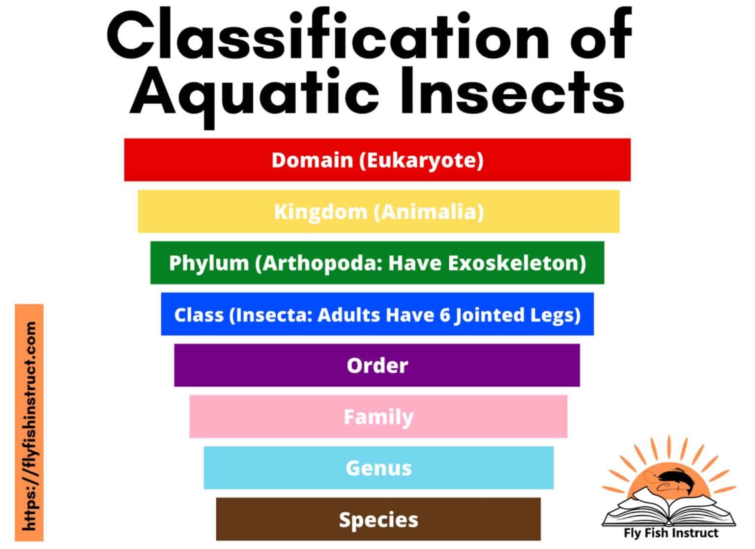 Classification of Aquatic Insects - Fly Fish Instruct
