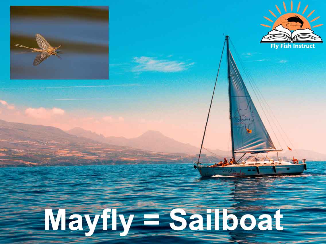 5 Factors When Choosing a Fly - Fly Fish Instruct