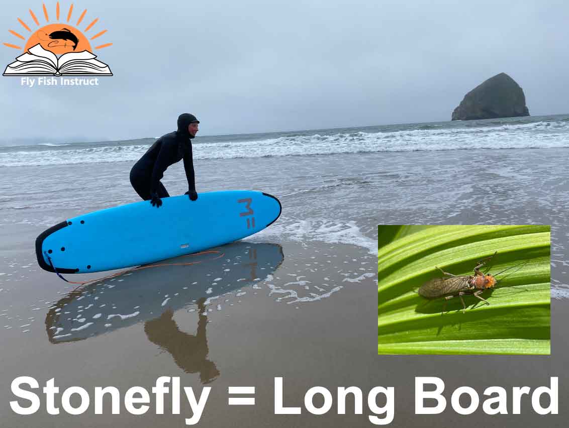 5 Factors When Choosing a Fly - Fly Fish Instruct